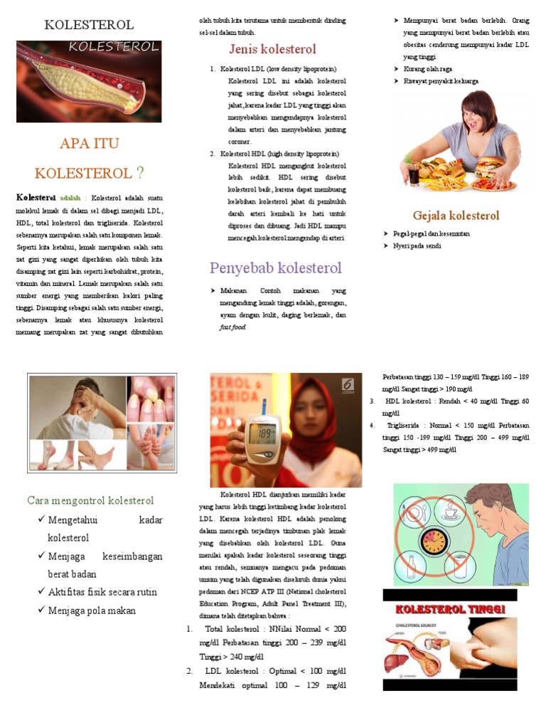 Leaflet Kolesterol | PDF