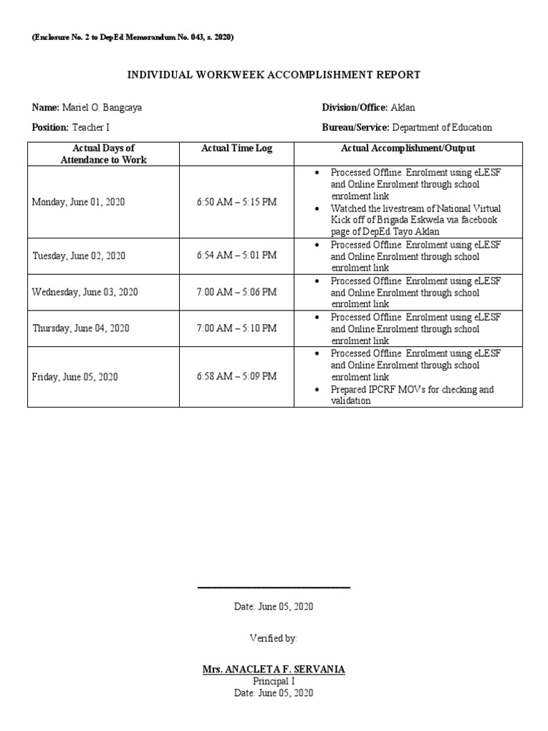Individual Workweek Accomplishment Report | PDF | Online And Offline ...