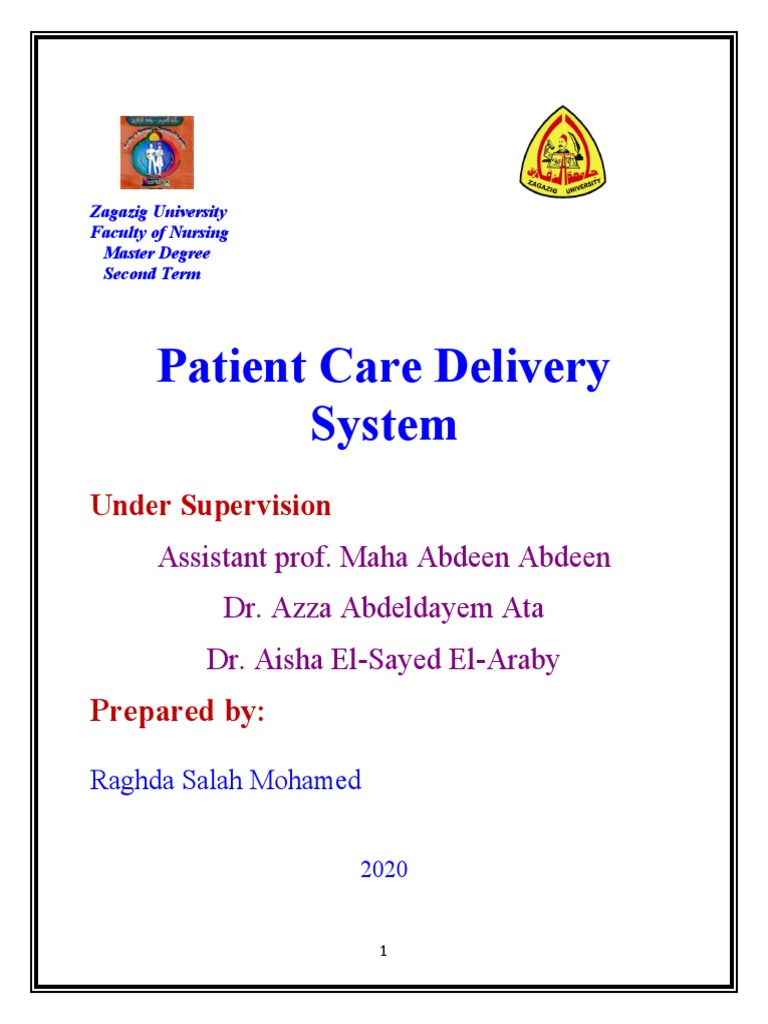 Patient Care Delivery Systems Overview | PDF | Nursing | Health Care