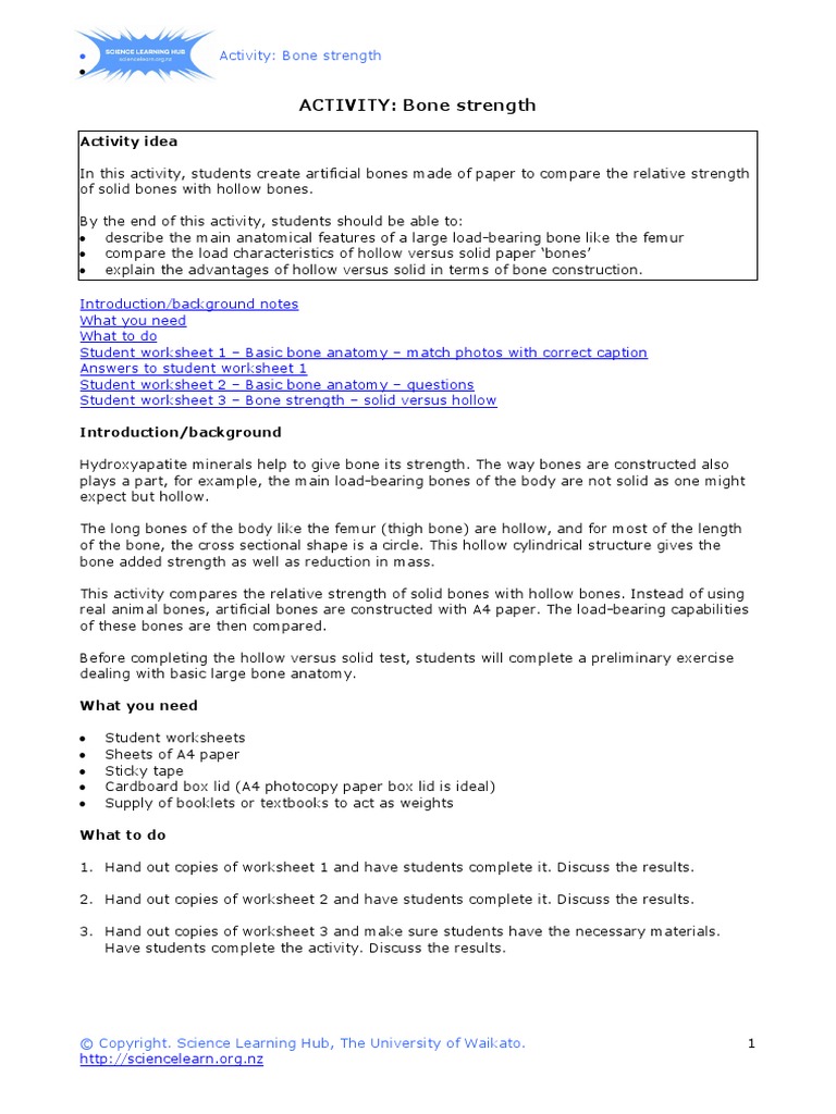 ACTIVITY: Bone Strength | PDF | Bone | Skeletal System