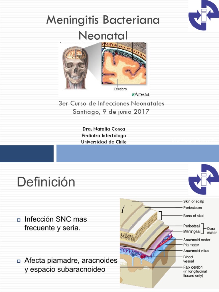 Meningitis Bacteriana Neonatal | PDF | Meningitis | Septicemia