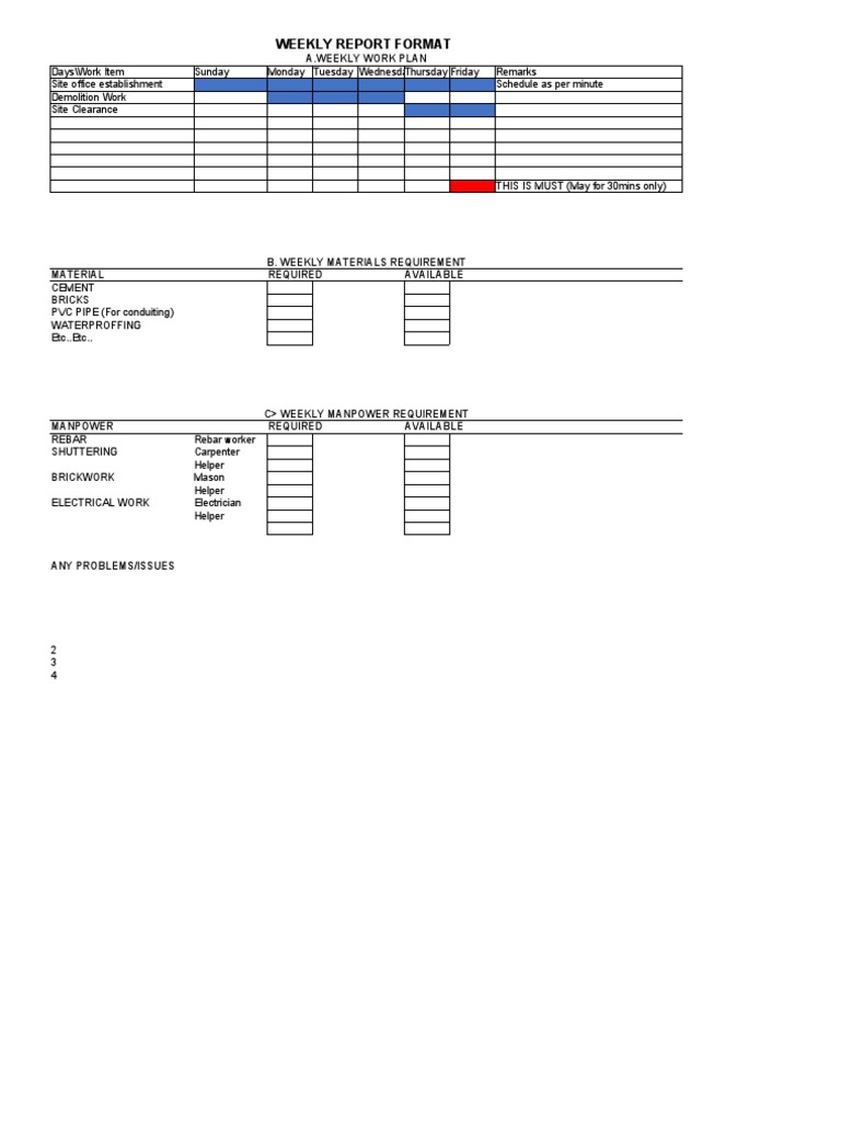 Weekly Report Format: A.Weekly Work Plan | PDF