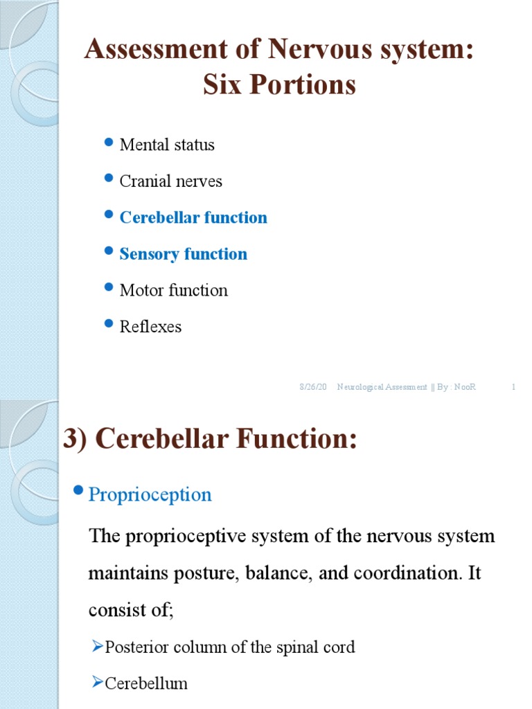 Comprehensive Nervous System Assessment | PDF | Human Leg | Anatomical ...