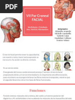 Ubicación y función del ganglio geniculado | PDF | Anatomia animal ...