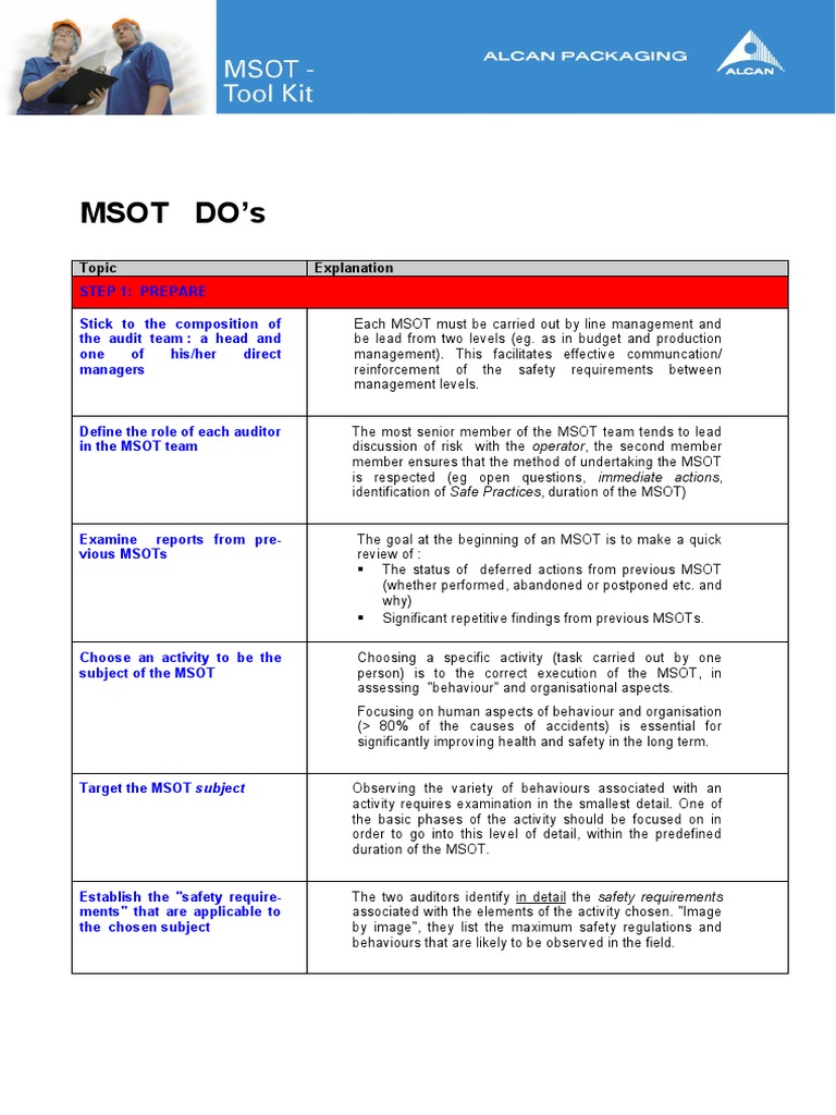 MSOT Guidelines for Safety Observations | PDF | Risk | Audit