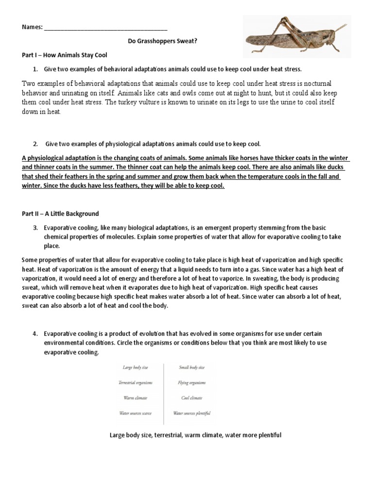 Do Grasshoppers Sweat Note Sheet | PDF | Evaporation | Thermoregulation