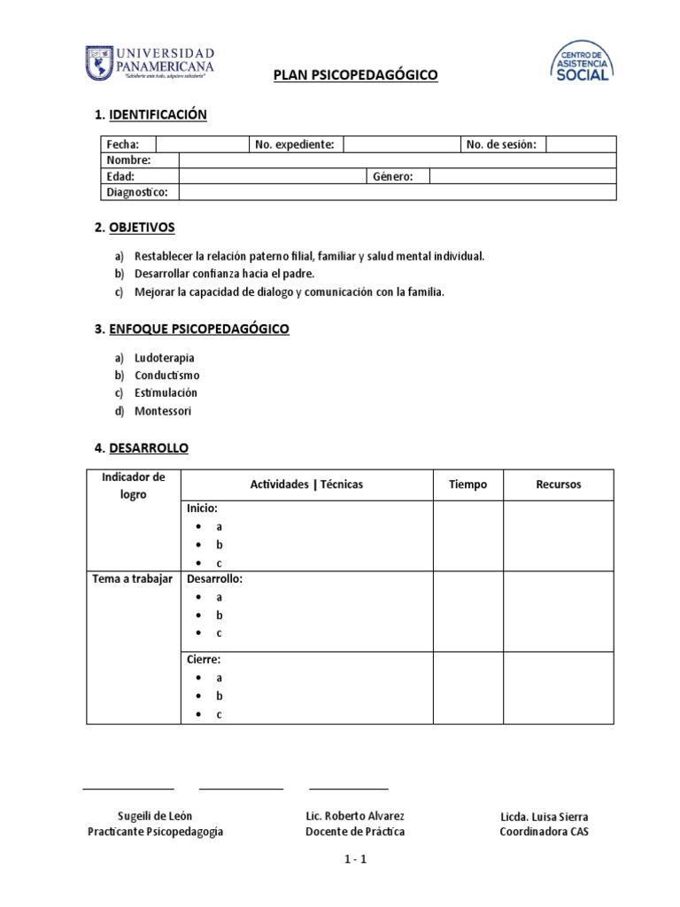 Formato - Plan Terapeutico | PDF