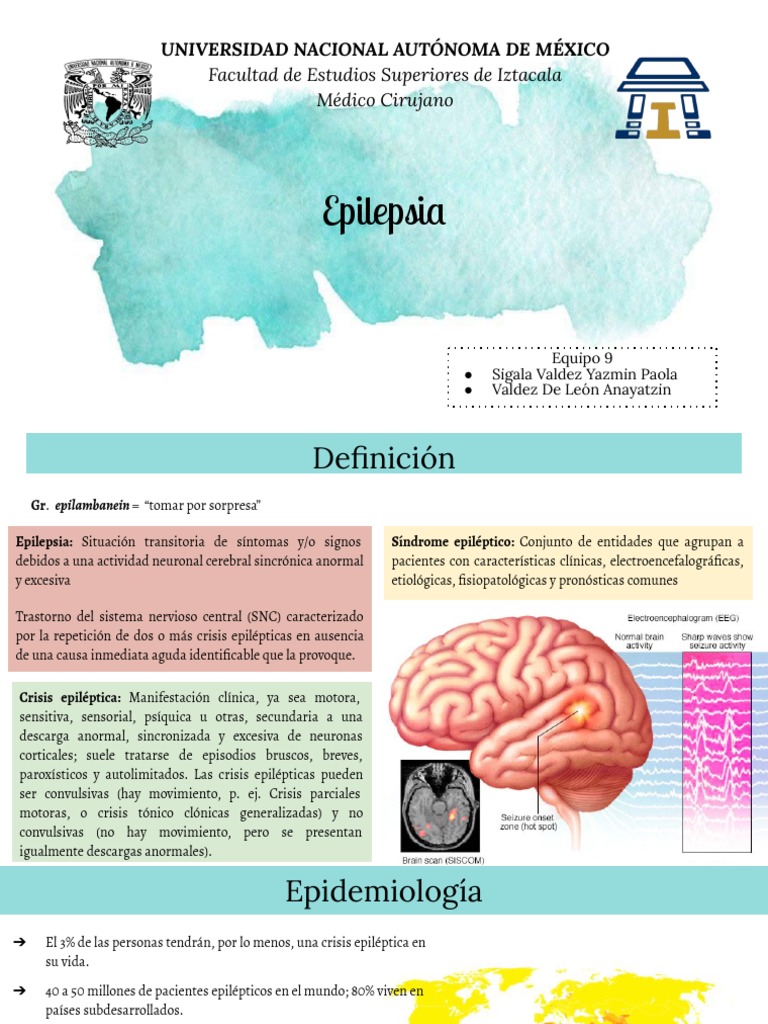 Epilepsia | PDF | Epilepsia | Sinapsis