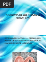 Angulo de Bennett | PDF