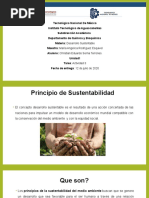 Principios de La Sustentabilidad | PDF | Desarrollo sostenible | Ciencias sociales ambientales