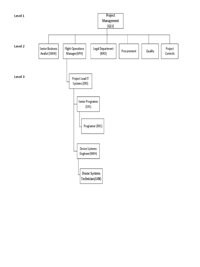 DroneTech Corp. Organization Chart | PDF
