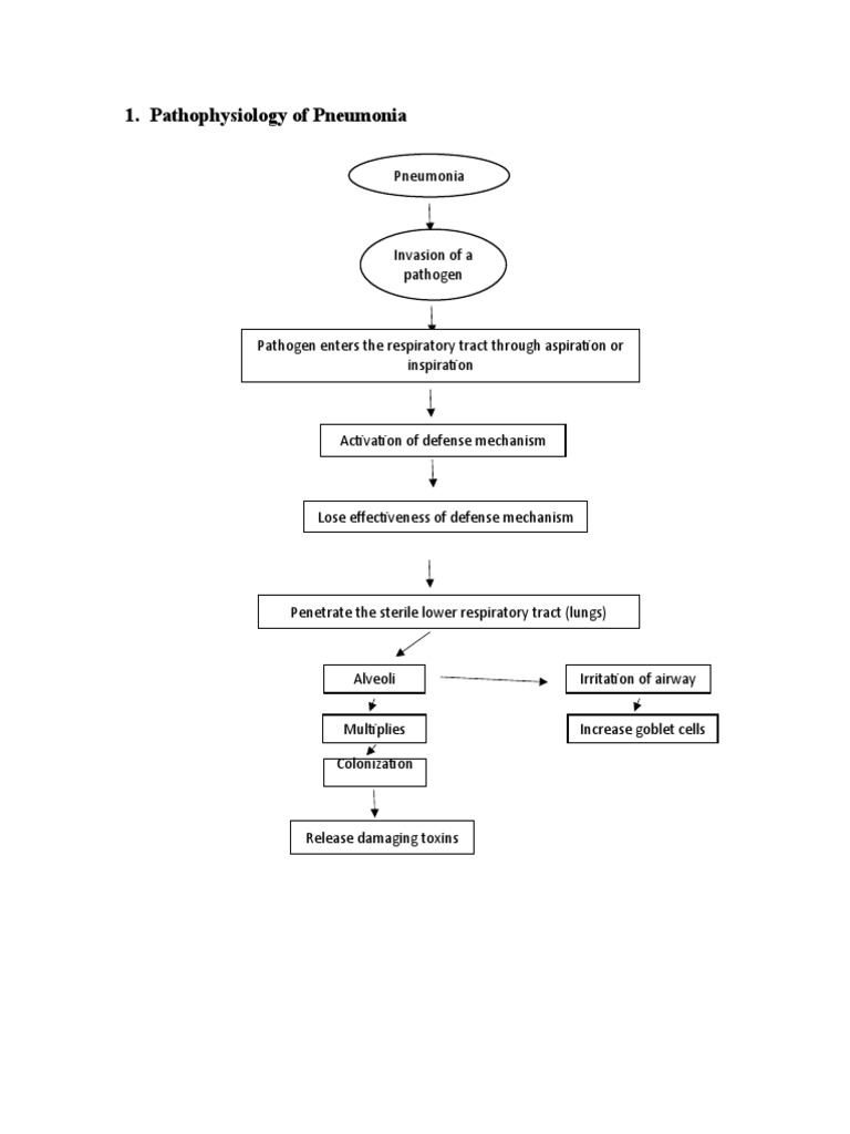 Pathophysiology of Pneumonia | PDF