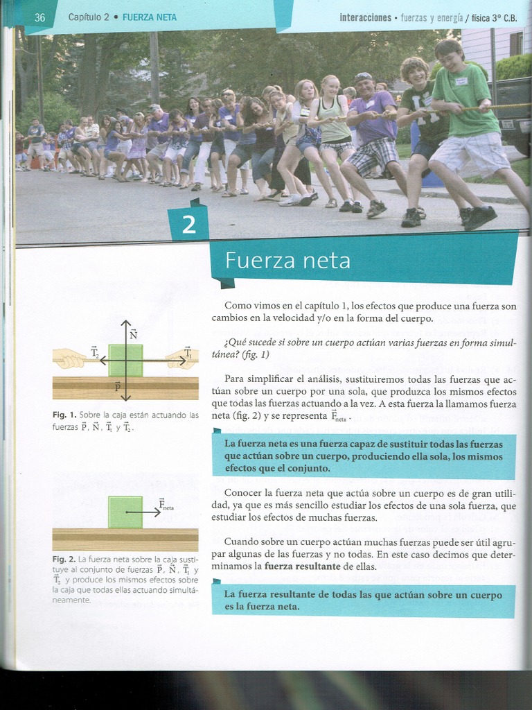 Fuerza Neta | PDF