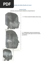 Análisis del Perfil Facial en Odontología | PDF | Ortodoncia | Cabeza y ...