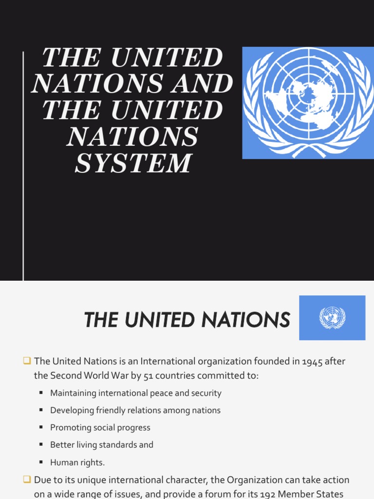 Overview of the United Nations Structure | PDF | United Nations ...