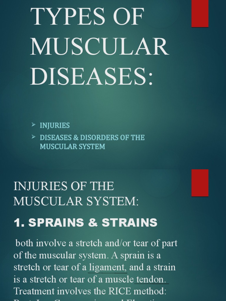 Overview of Muscular System Disorders | PDF | Musculoskeletal System ...