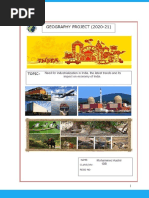 History Project | PDF