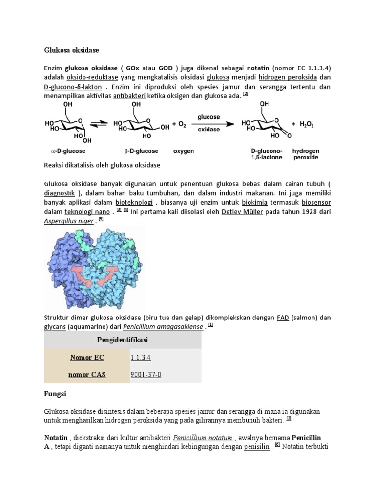 Glukosa Oksidase | PDF