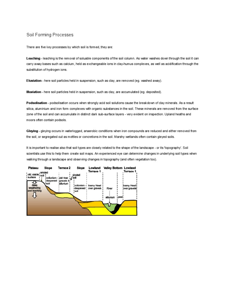 Soil Forming Process | PDF