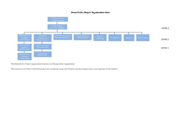 DroneTech's Project Organization Chart | PDF