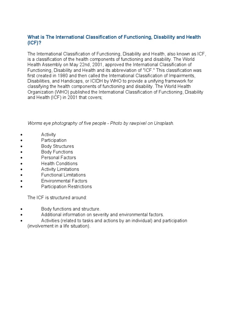 What Is The International Classification of Functioning | PDF