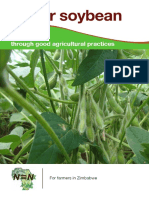 Maize Spray Program Overview | PDF | Maize | Weed