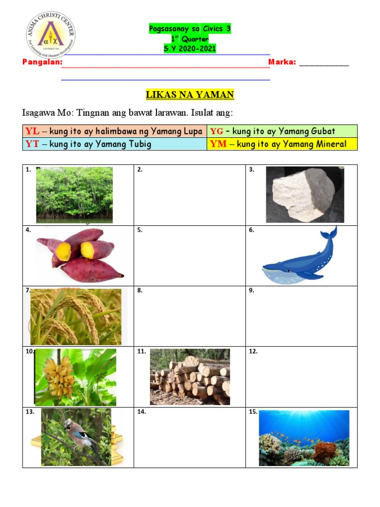 Likas Na Yaman | PDF