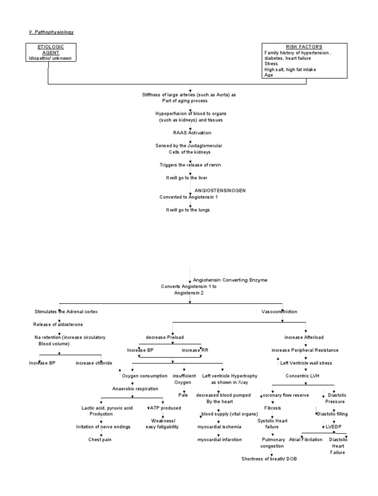 final patho-HCVD | Diastole | Heart