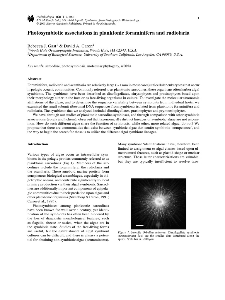 Gast Caron 2001 Photosymbiotic Associations Planktic Forams Radiolaria ...