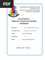 Modelos y Teorías de Enfermería - Lydia Hall | PDF | Enfermería | Medicina