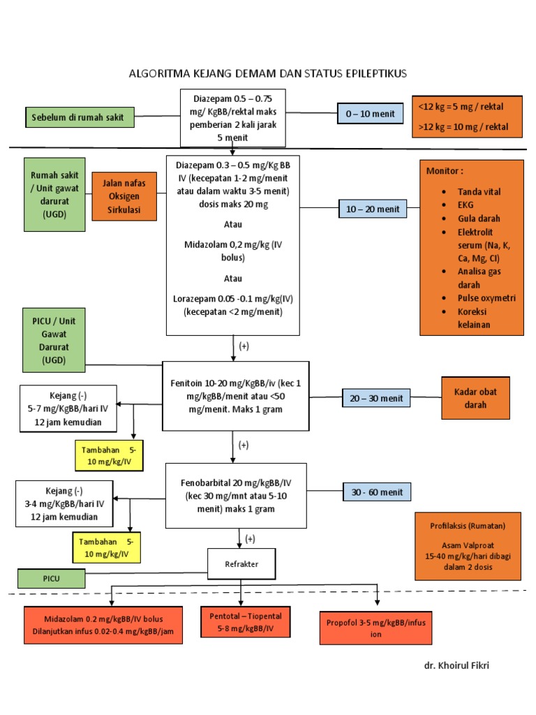 Algoritma Kejang Demam Dan Status Epileptikus | PDF