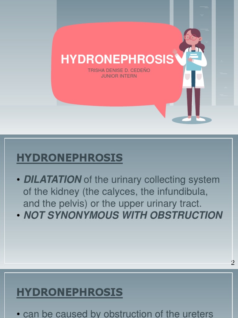 Hydronephrosis: Trisha Denise D. Cedeño Junior Intern | PDF | Urology ...