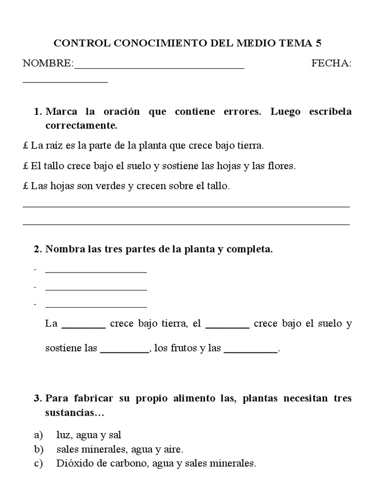 Control Cono Tema 5 3º | PDF