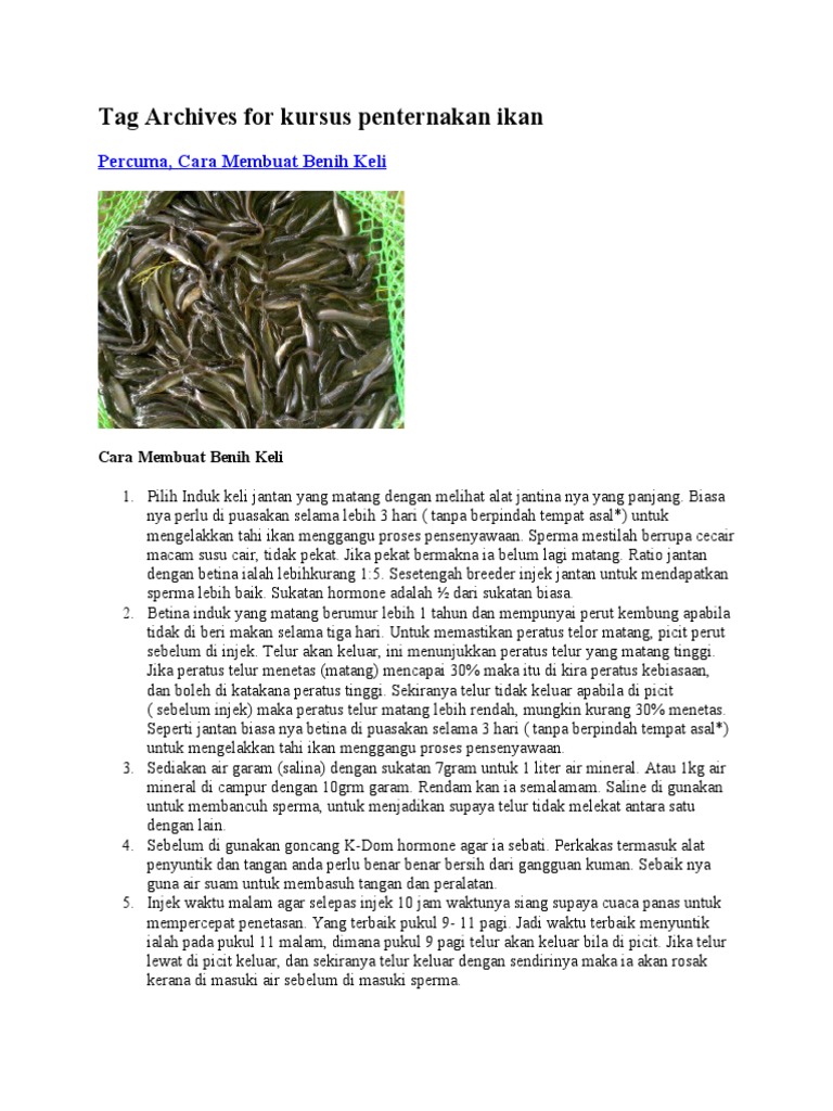 Panduan Pembiakan Benih Ikan Keli | PDF