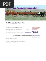Beef Cow Synchronization Protocols | PDF | Cattle | Land Management