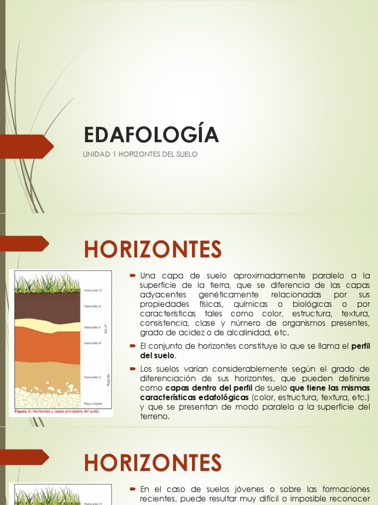 Características de los Horizontes del Suelo | PDF | Suelo | Ciencias de ...