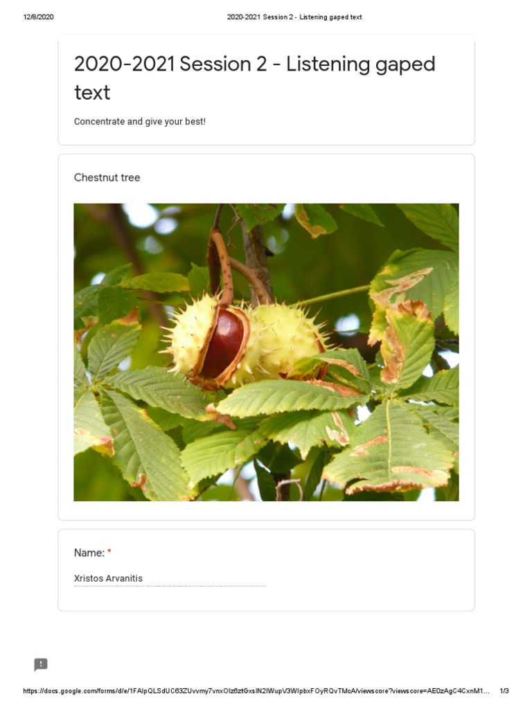 Listening Gap Exercise Overview | PDF