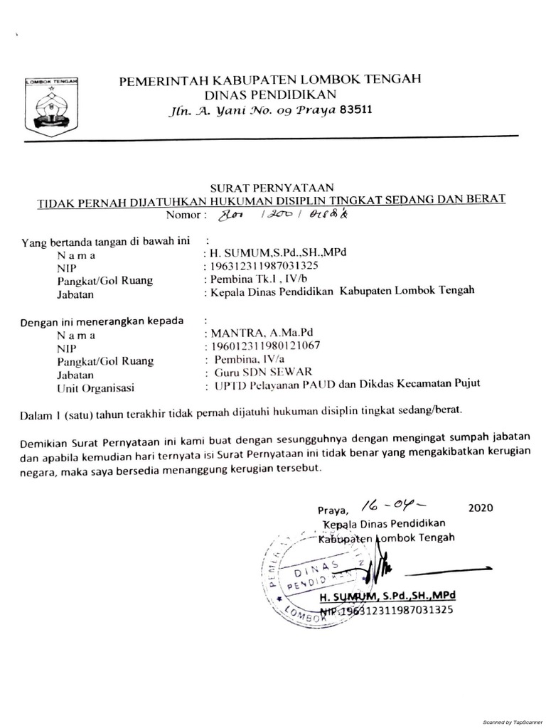 TapScanner Document Scanning Guide | PDF