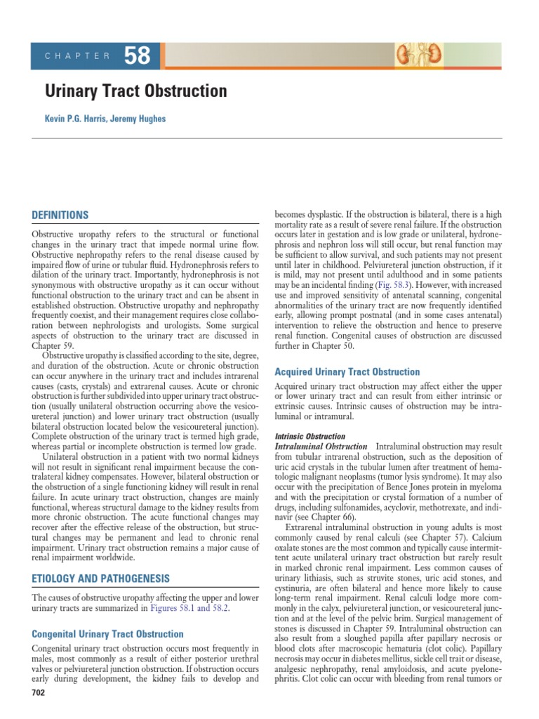 Understanding Obstructive Uropathy: A Comprehensive Review of the ...