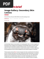 Canine Pruritus Visual Analog Scale | PDF