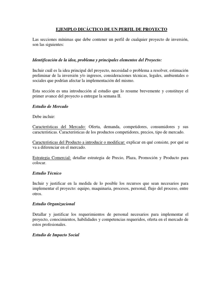 1-Ejemplo Perfil Proyecto Inversión | PDF | Producto (Negocio) | Mercado (economía)