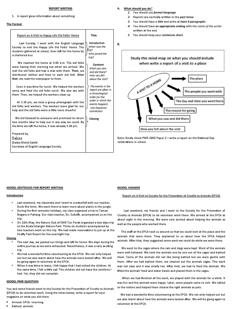 Writing A Report Pt3 | PDF