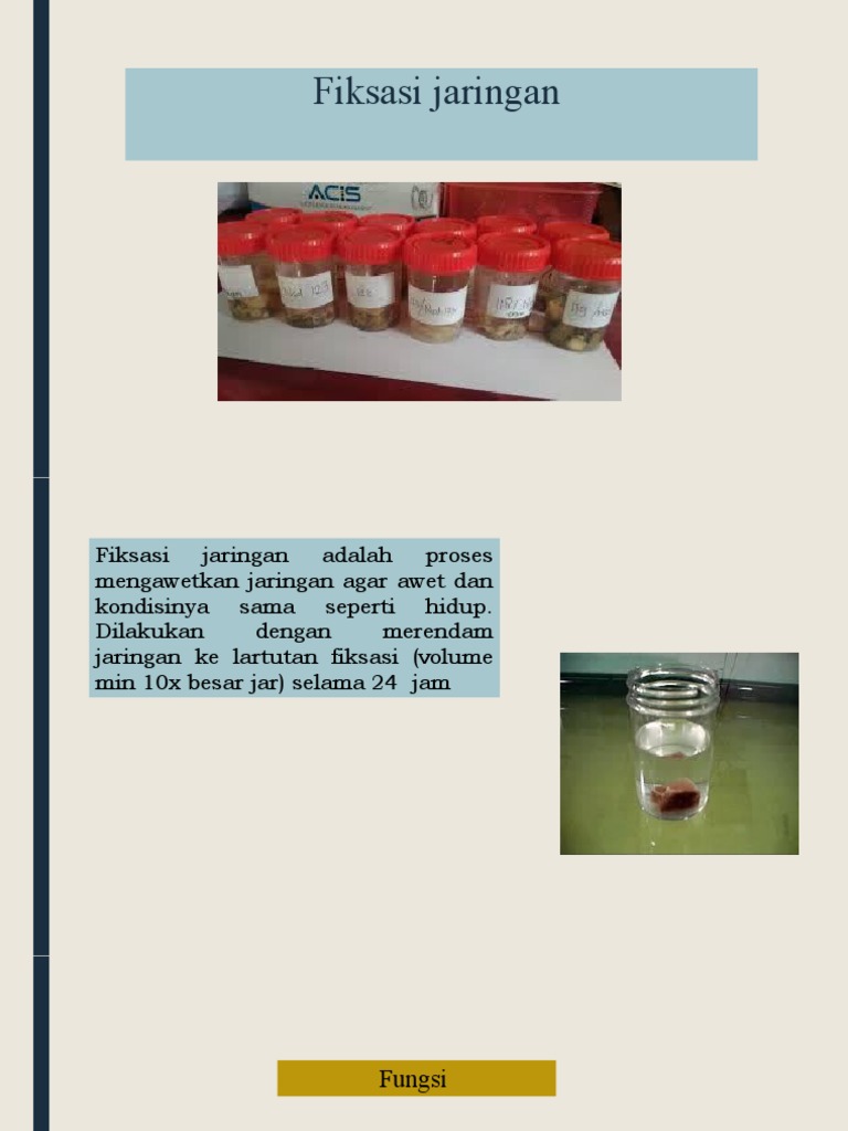 Fiksasi Jaringan | PDF | Karier & Perkembangan | Kesehatan Holistik