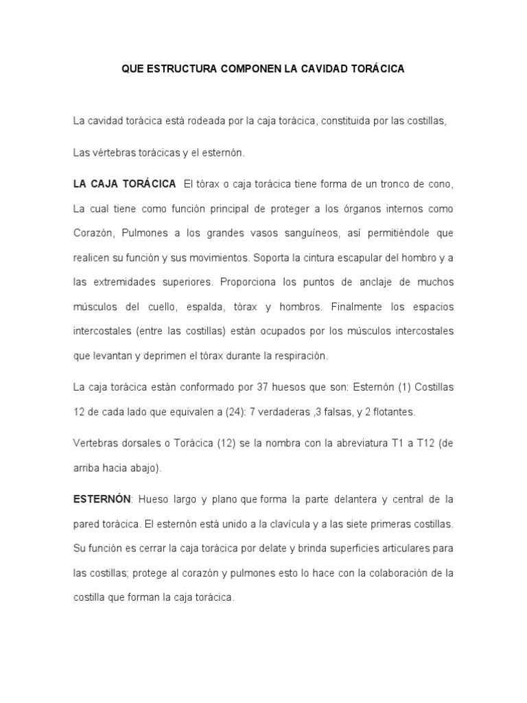 Estructura Que Componen La Cavidad Torácica | PDF | Tórax | La columna ...