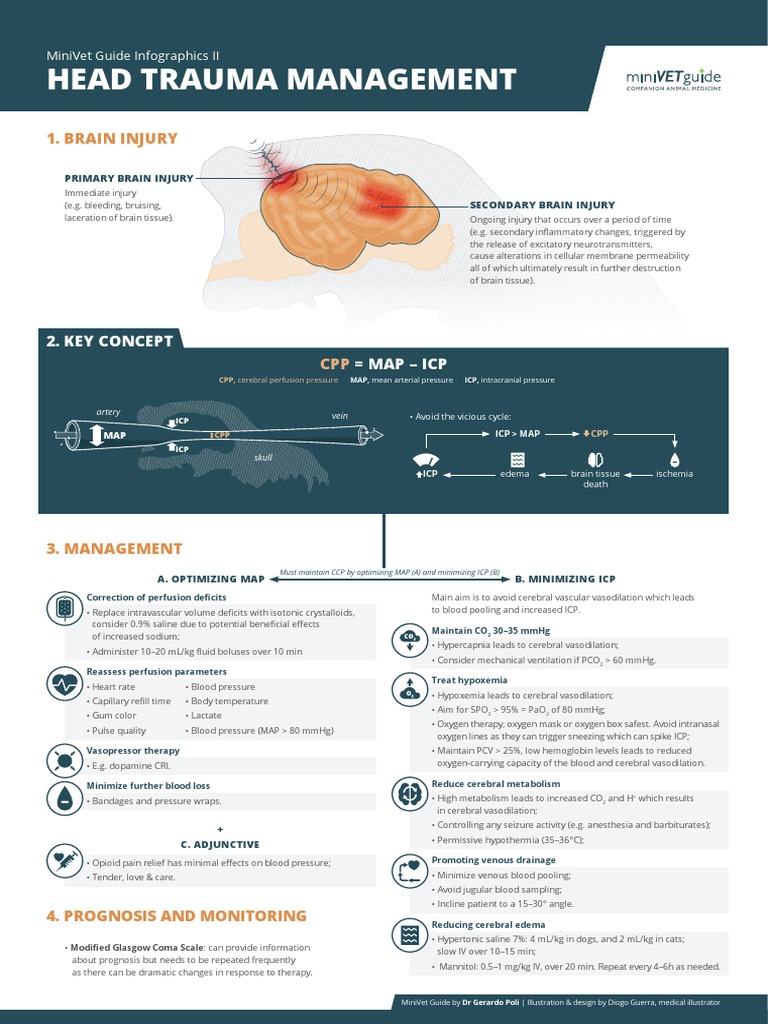 Head Trauma Management: 1. Brain Injury | PDF | Traumatic Brain Injury ...