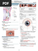 Lid Parallel Conjunctival Folds (LIPCOF) | PDF | Optics | Ophthalmology