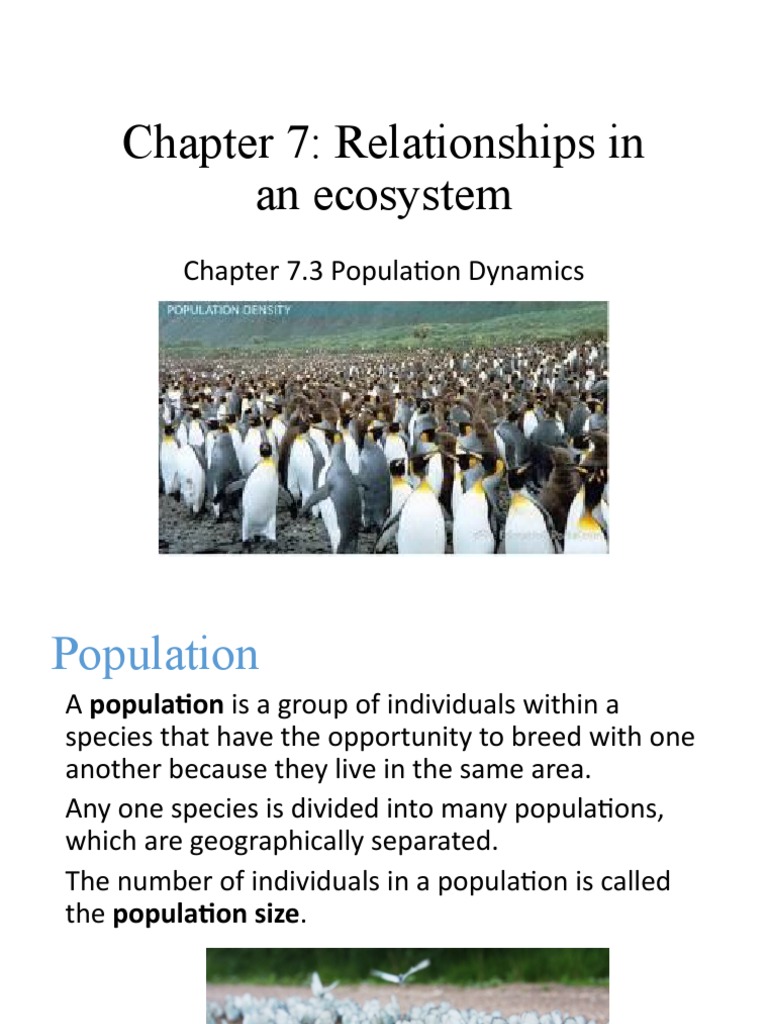 Chapter 7: Relationships in An Ecosystem | PDF | Eutrophication ...