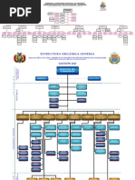 Organigrama AMDC | PDF | Concejal | Alcalde