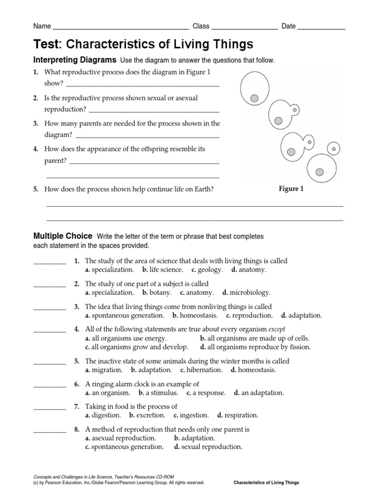 Characteristics of Living Things Test | PDF | Reproduction | Organisms