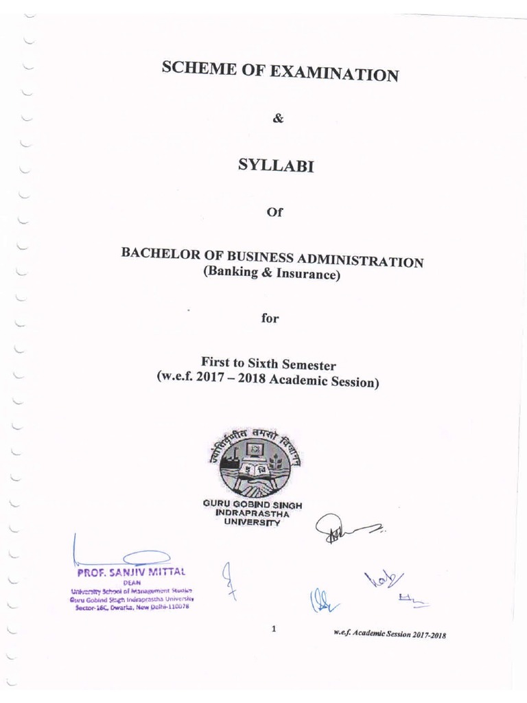 BBA BI Syllabus 2017 | PDF